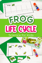Free Printable Life Cycle of a Frog Diagrams for Kids