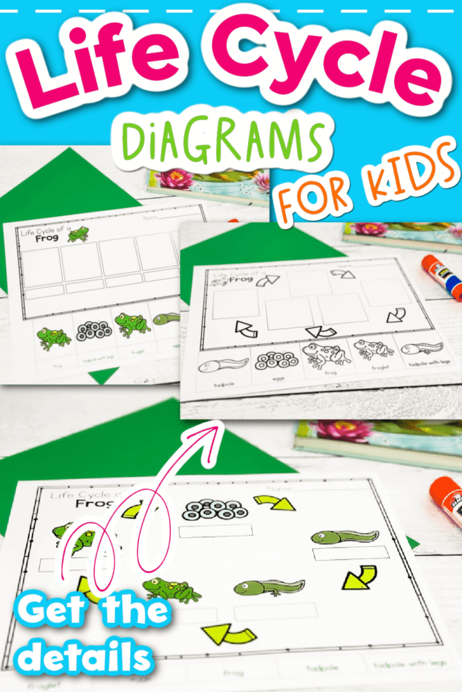 Free Printable Life Cycle of a Frog Diagrams for Kids