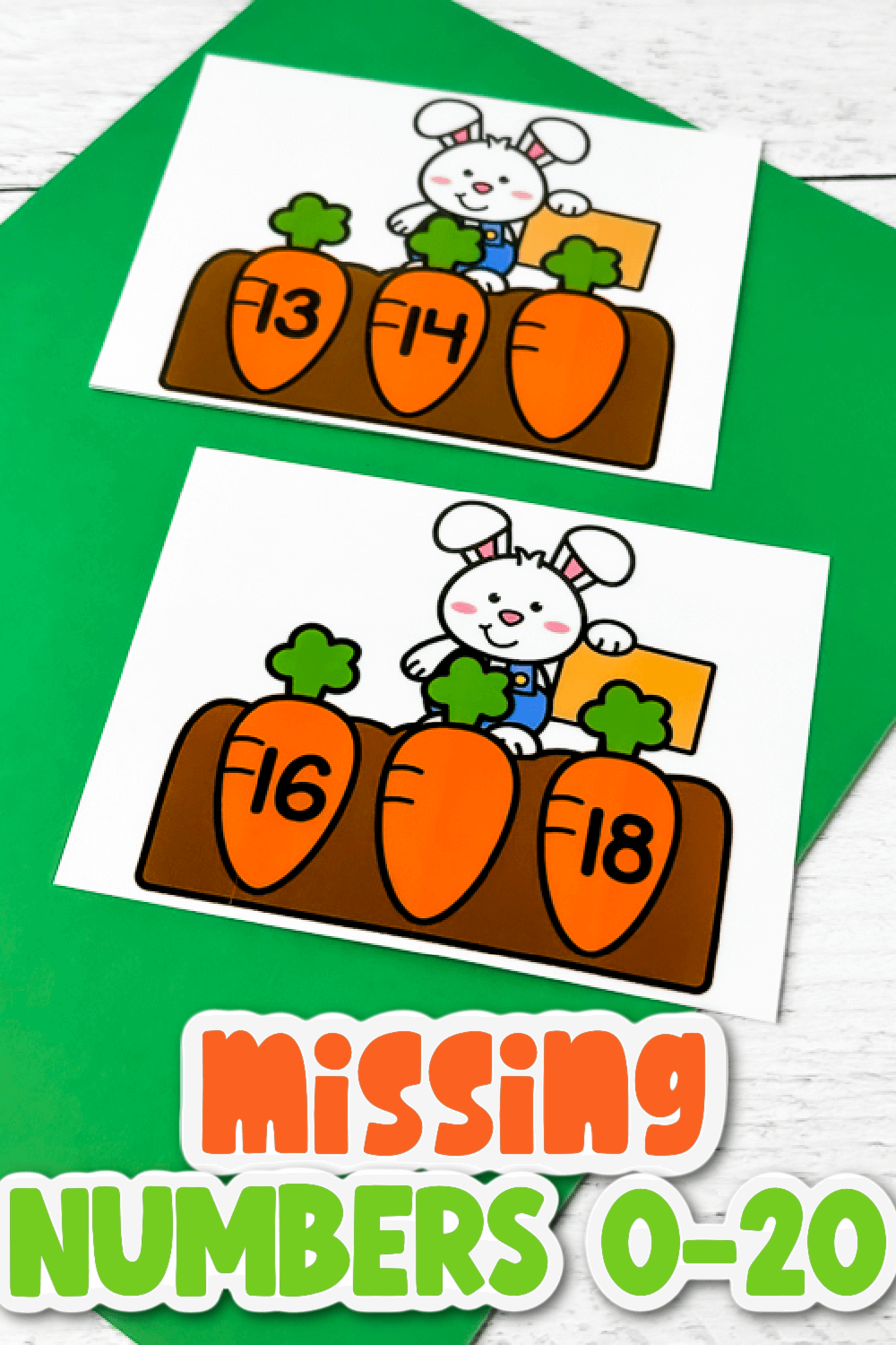 Spring Garden Fill in the Missing Numbers Activity