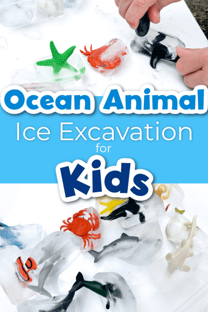 Easy-Prep Ocean Animals Excavation Ice Activity for Kids