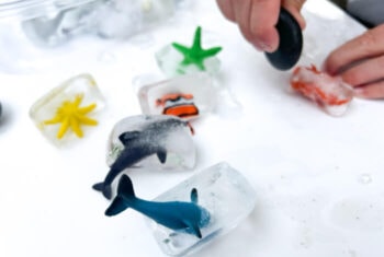Easy-Prep Ocean Animals Excavation Ice Activity for Kids