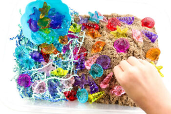 Easy Seashell Sensory Bin for Your Ocean Theme
