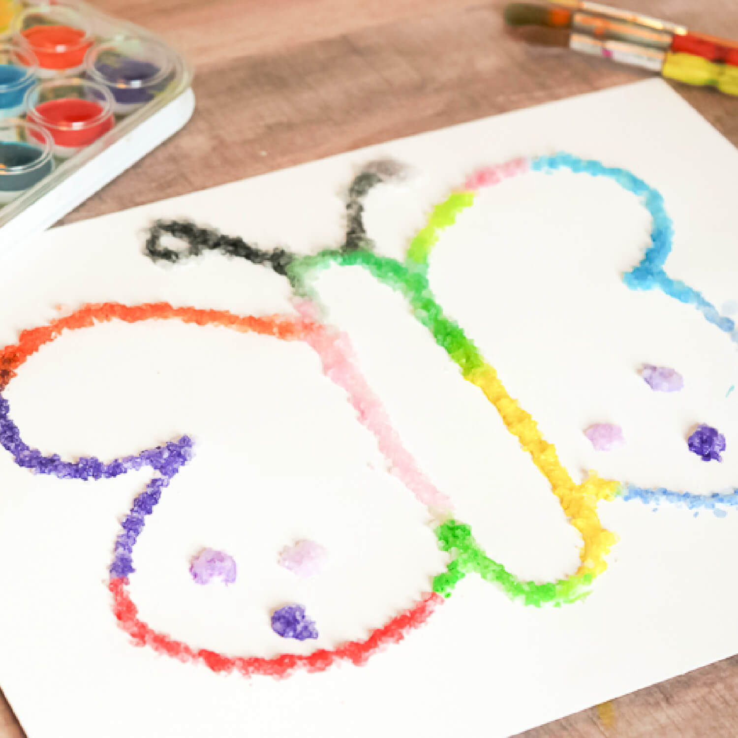 Fun Butterfly Salt Painting Art for Kids