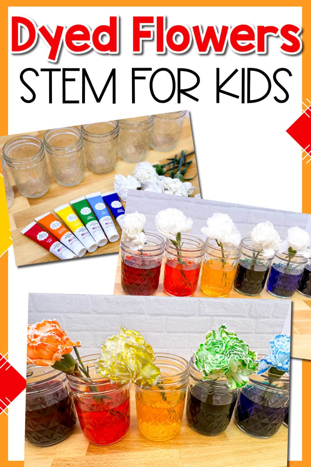 Easy Color Changing Flower Experiment- Science for Kids