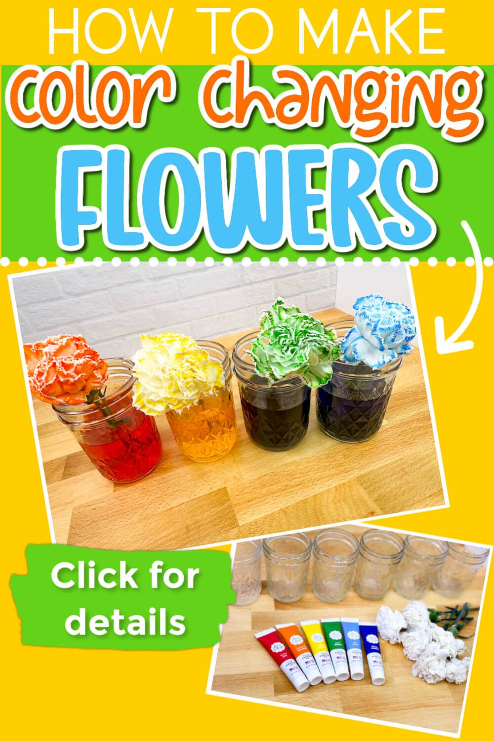 Easy Color Changing Flower Experiment- Science for Kids