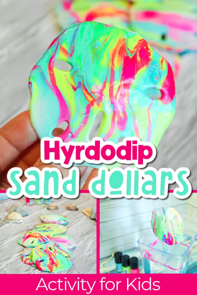 Easy Guide to Hydro-Dipping Sand Dollars Summer Art 🐚