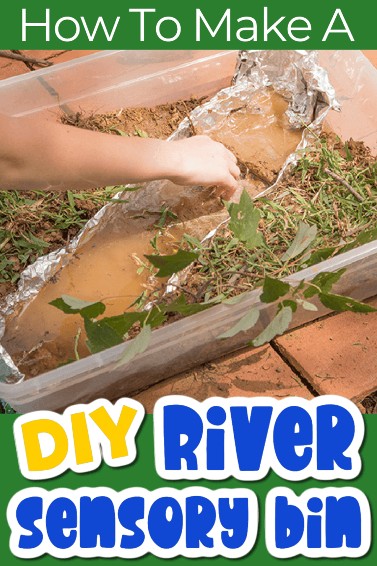 Fun, Hands-On River Small World Habitat Exploration - Life Over C's