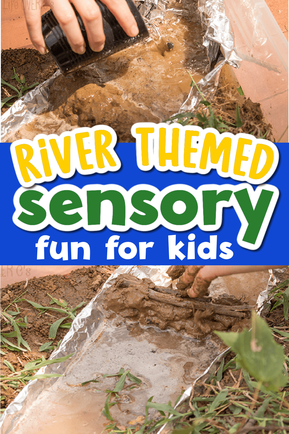 Fun, Hands-On River Small World Habitat Exploration - Life Over C's