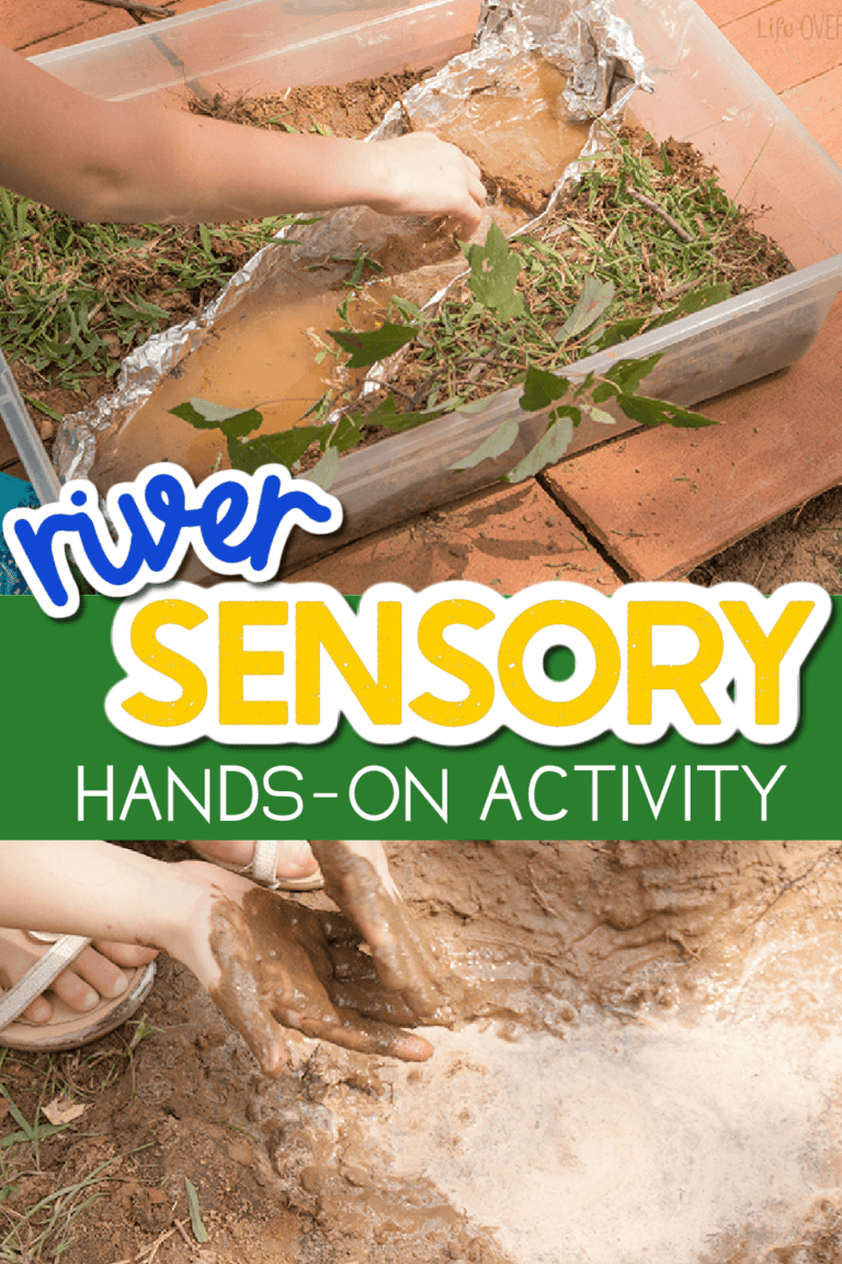 Fun, Hands-On River Small World Habitat Exploration - Life Over C's