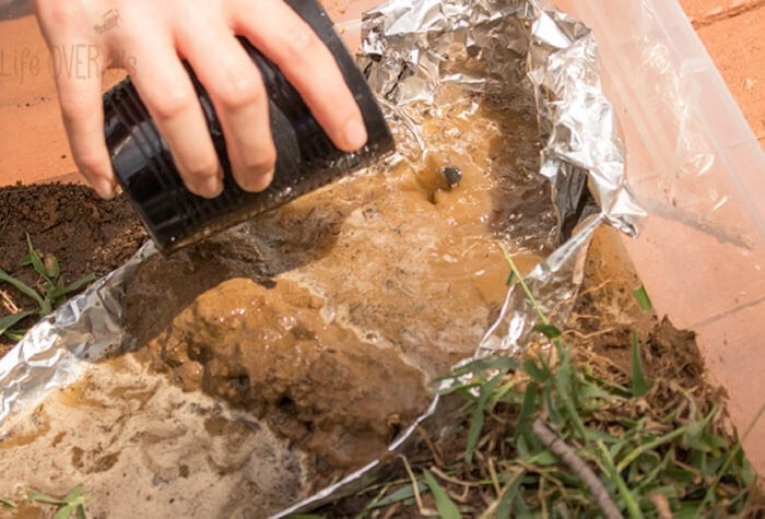 Fun, Hands-On River Small World Habitat Exploration - Life Over C's