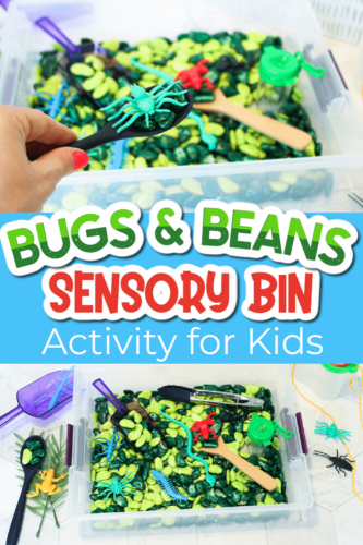 Colorful Bug Sensory Bin with Dyed Beans 🐛