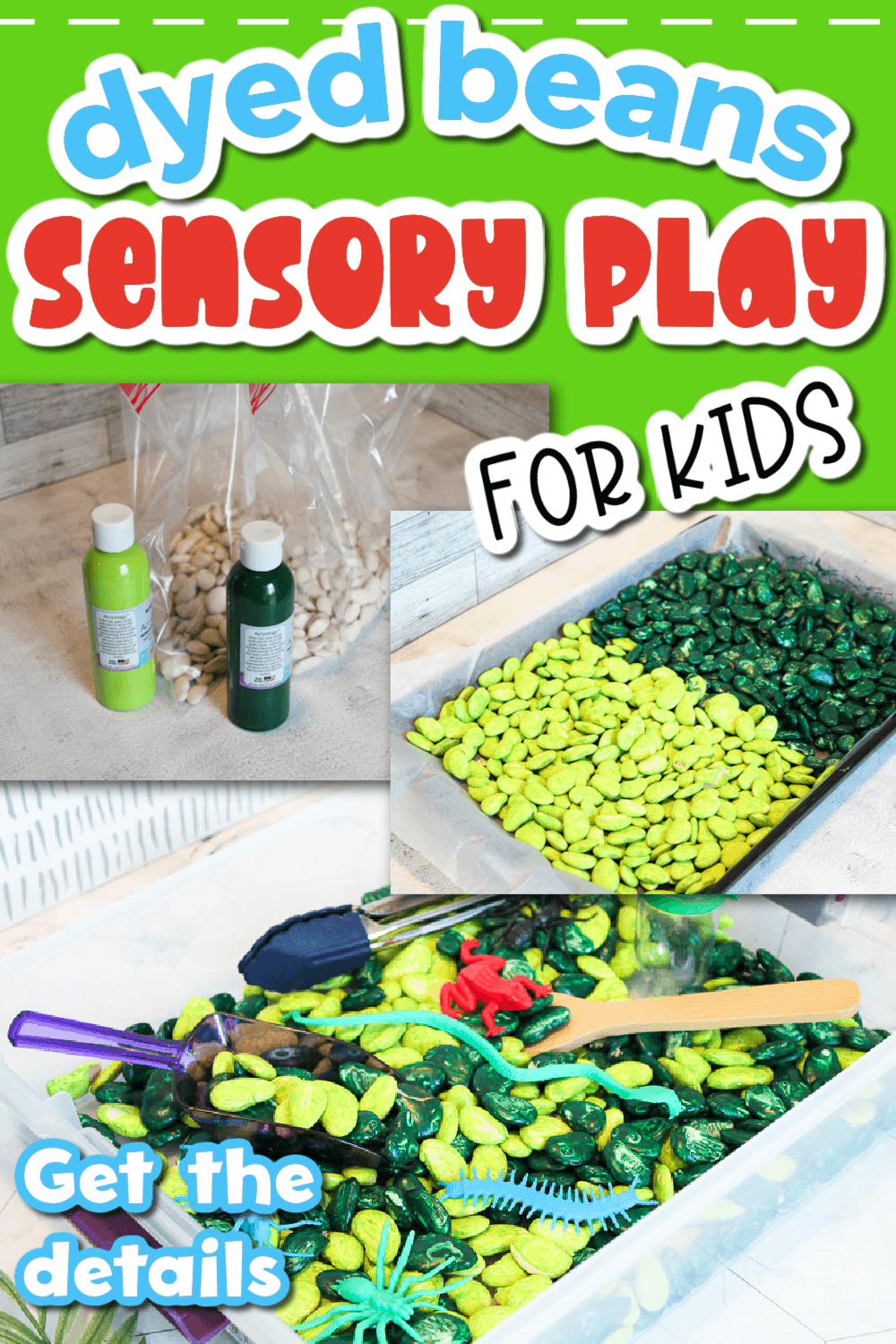 Colorful Bug Sensory Bin with Dyed Beans 🐛