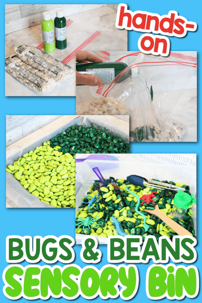 Colorful Bug Sensory Bin with Dyed Beans 🐛