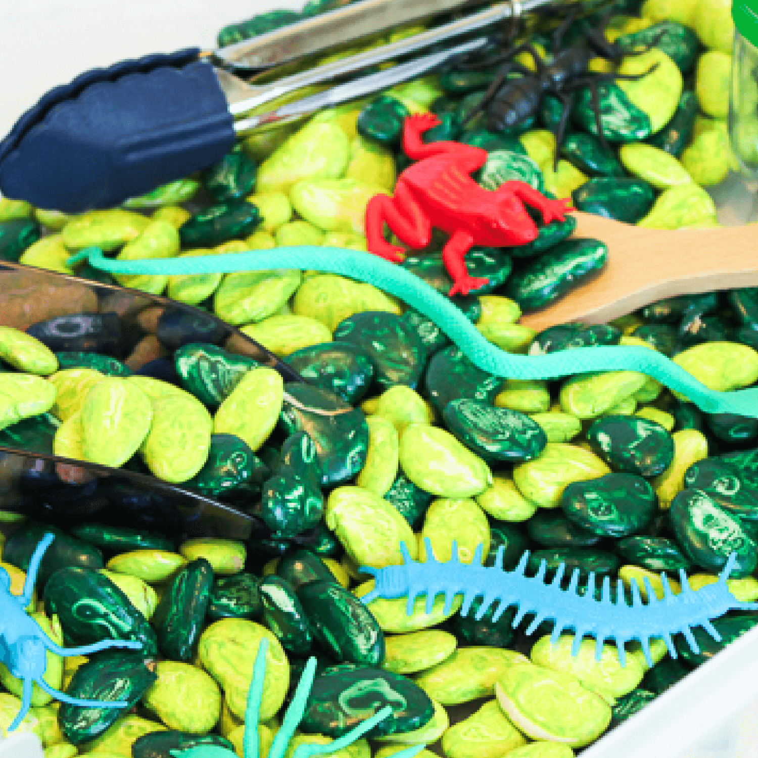 Colorful Bug Sensory Bin with Dyed Beans 🐛