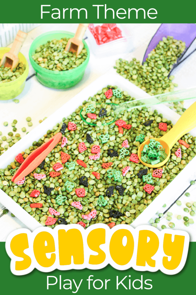 Super Fun Mini Farm Sensory Bin for Kids 🚜