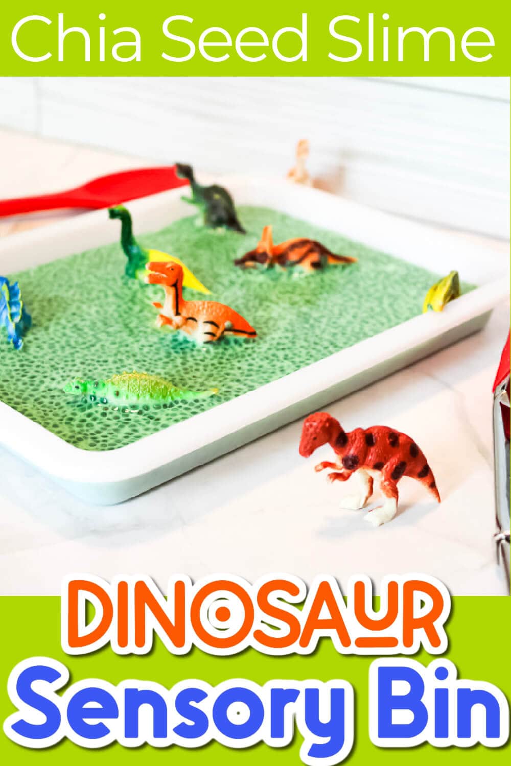 Gooey Chia Seed Dinosaur Sensory Bin for Kids