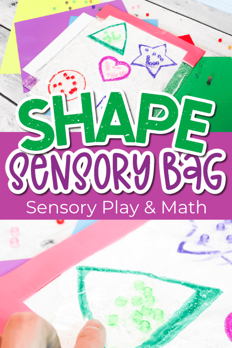Fine Motor 2D Shape Sensory Bag for Preschool
