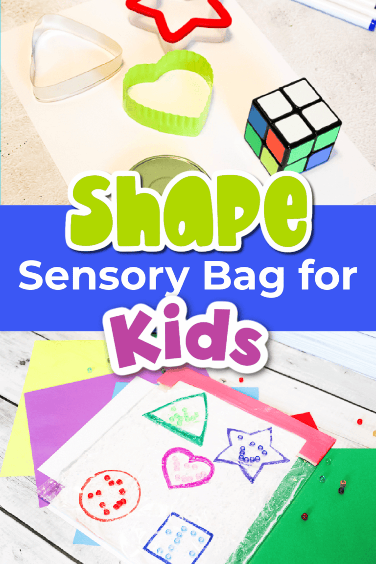 Fine Motor 2D Shape Sensory Bag for Preschool