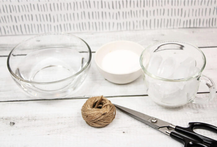 Easy Sticky Ice Experiment for Kids 🔎🧊