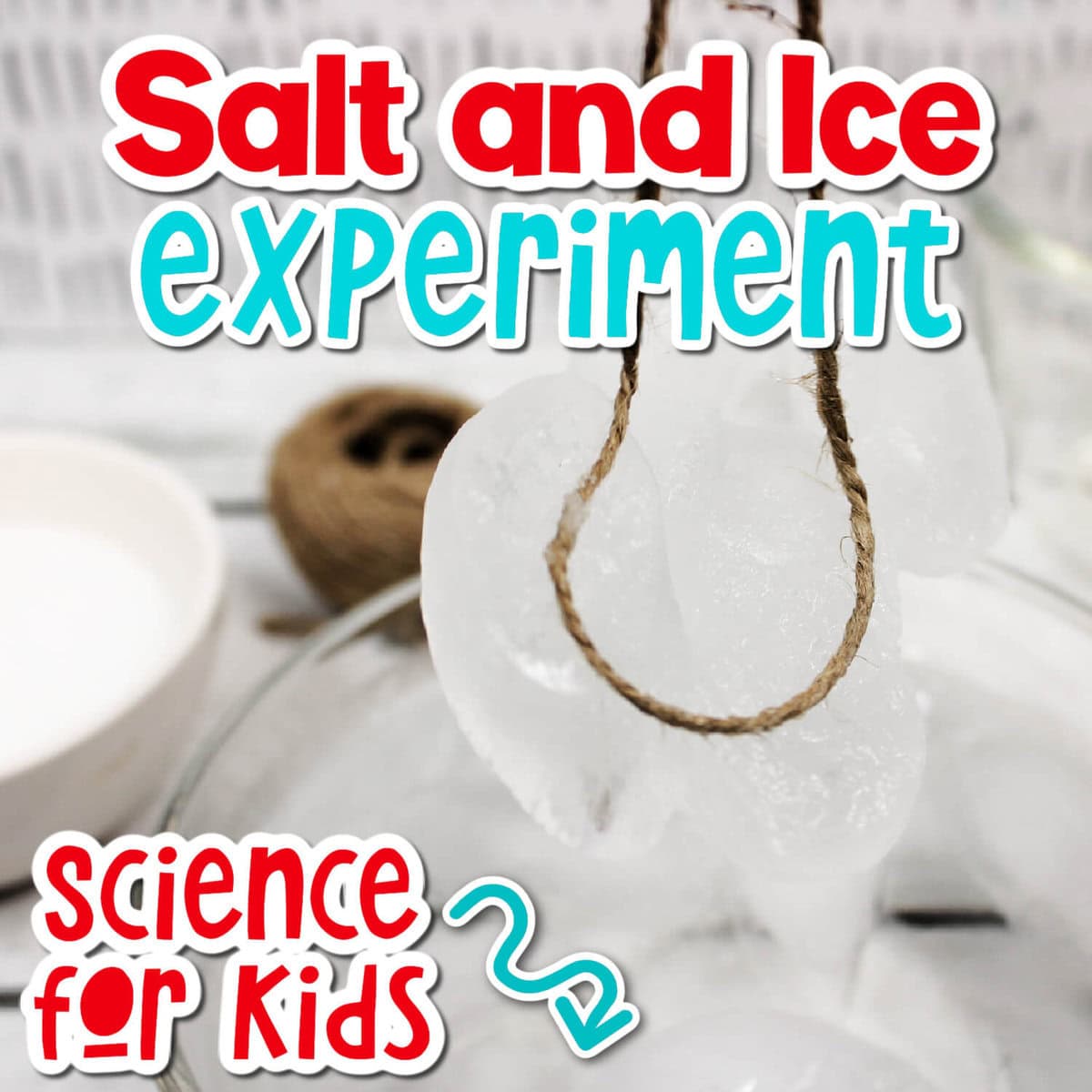 Rainbow Walking Water Science Experiment for Kids 🌈