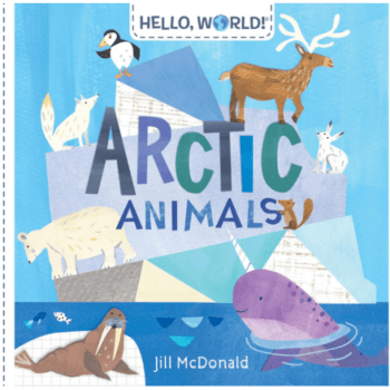 25+ Best Arctic Animal Books for Kids - Life Over C's