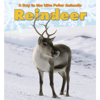 25+ Best Arctic Animal Books for Kids - Life Over C's