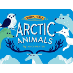 25+ Best Arctic Animal Books for Kids - Life Over C's