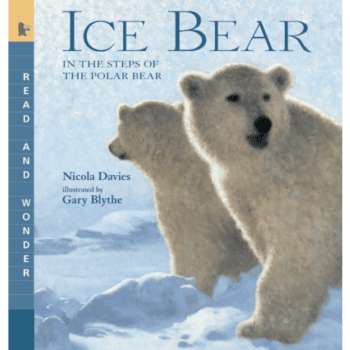 25+ Best Arctic Animal Books for Kids - Life Over C's