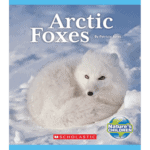 25+ Best Arctic Animal Books for Kids - Life Over C's