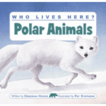 25+ Best Arctic Animal Books for Kids - Life Over C's