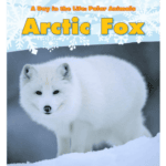 25+ Best Arctic Animal Books for Kids - Life Over C's