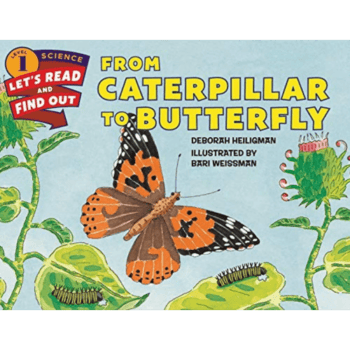 10 Exciting Butterfly Life Cycle Books for Kids - Life Over C's