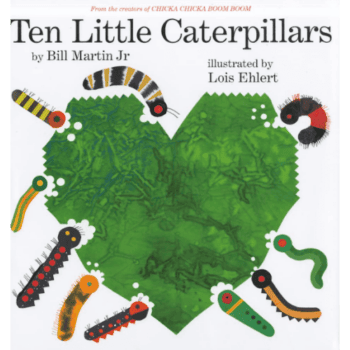 10 Exciting Butterfly Life Cycle Books for Kids - Life Over C's
