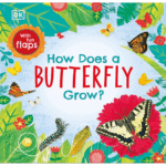 10 Exciting Butterfly Life Cycle Books for Kids - Life Over C's