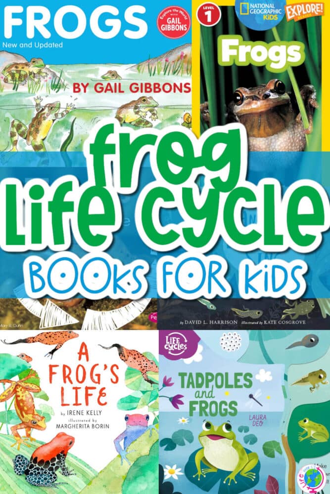 10 Amazing Life Cycle of a Frog Books for Kids 🐸