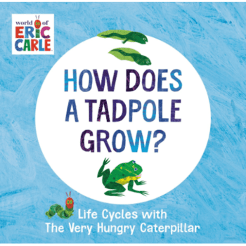 10 Amazing Life Cycle of a Frog Books for Kids 🐸