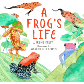 10 Amazing Life Cycle of a Frog Books for Kids 🐸
