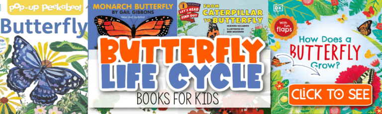 Free Printable Life Cycle of a Butterfly Diagrams for Kids